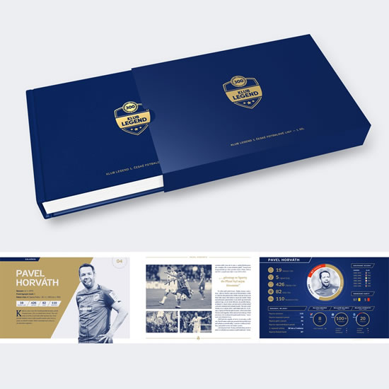 Klub legend 1. české fotbalové ligy Daniel Hajný | Knihkupectví Daniela